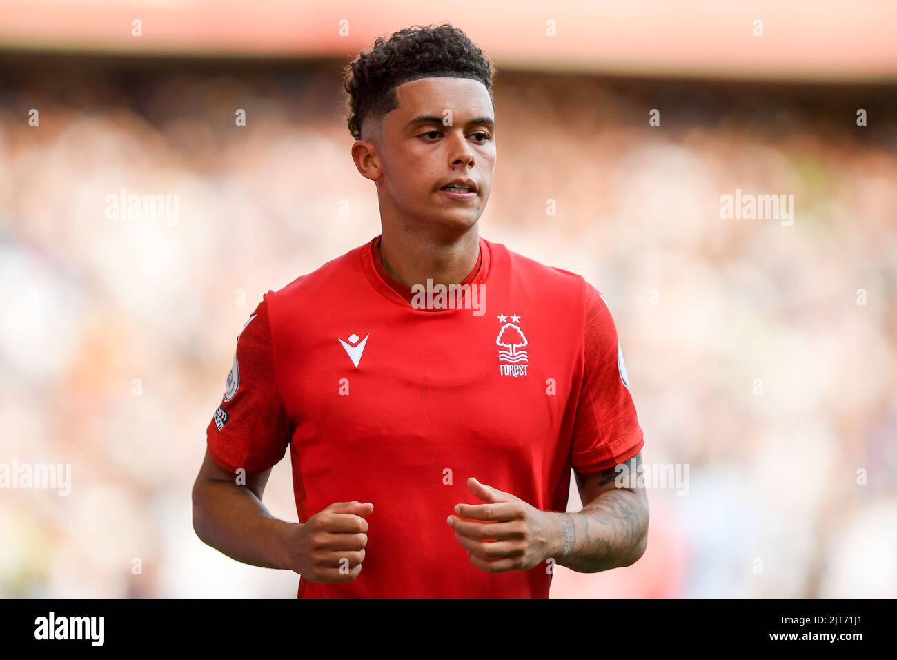 Brennan johnson forest hi-res stock photography and images - Alamy