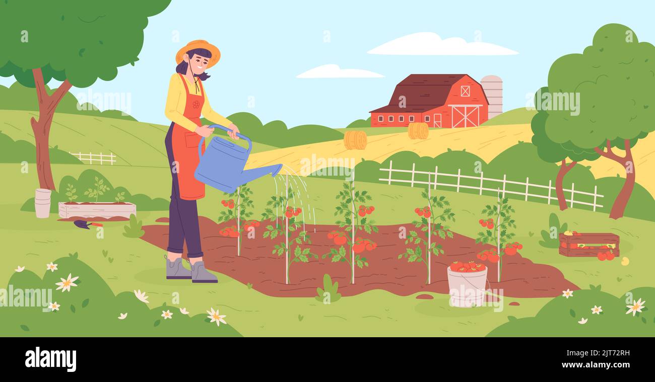 Tomato plant young pot Stock Vector Images - Alamy