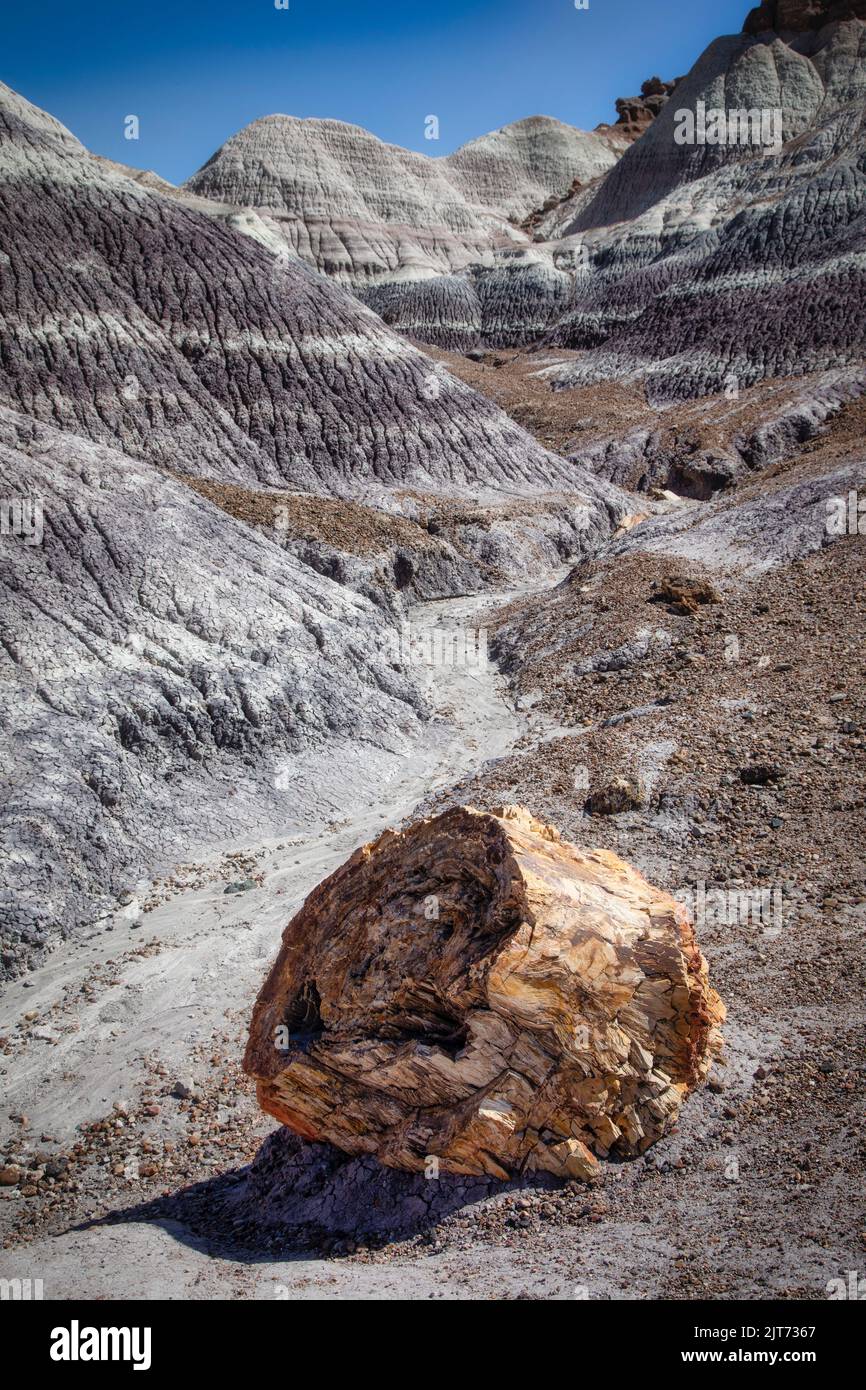 In the Blue Mesa, Blue Forest area in Petrified Forest National Park ...