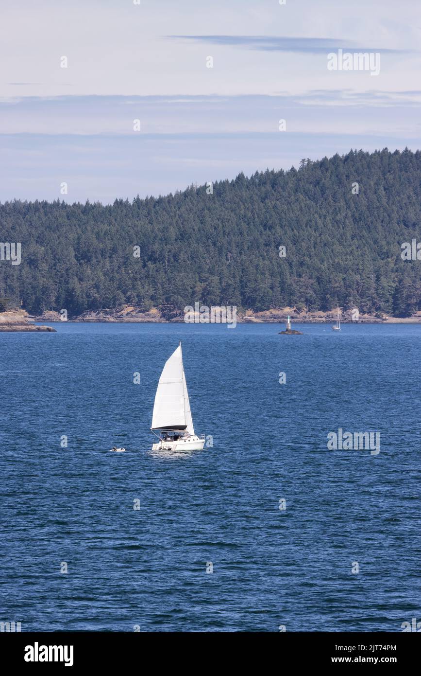Sailboat in Canadian Landscape by the ocean and mountains Stock Photo ...