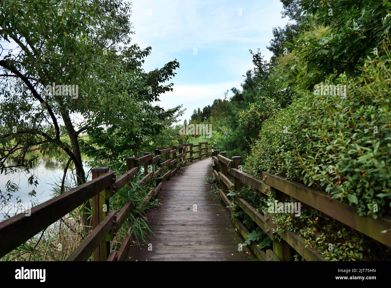 Walk way boardwalk path nature hi-res stock photography and images - Alamy