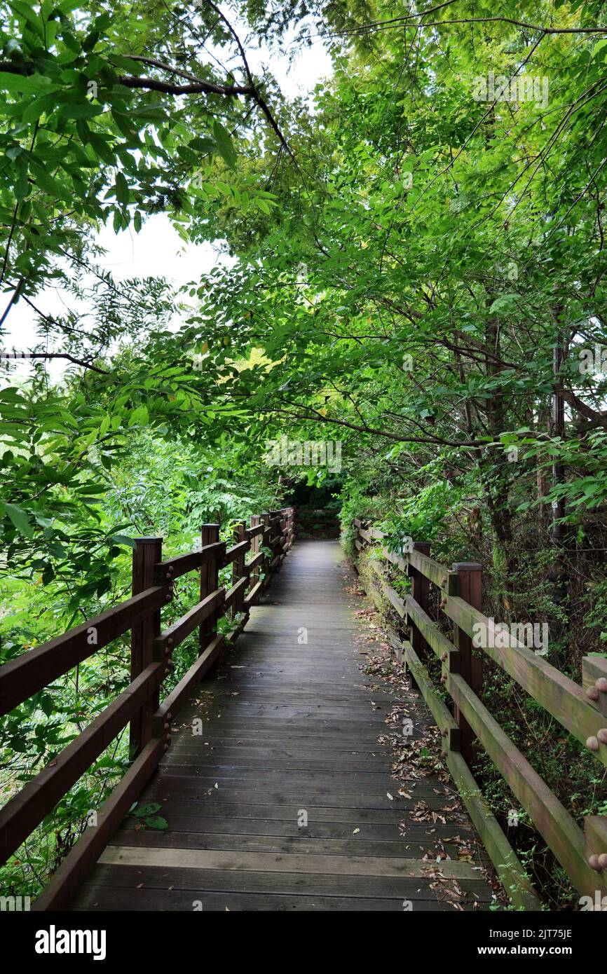 Walk way boardwalk path nature hi-res stock photography and images - Alamy