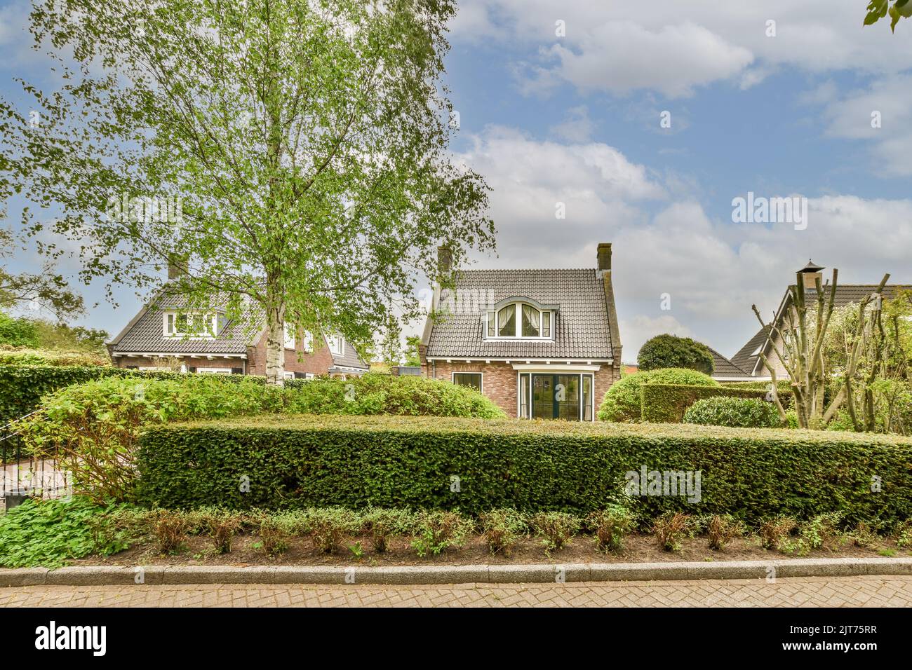 View of street near building with beauty of vegetation outside Stock ...