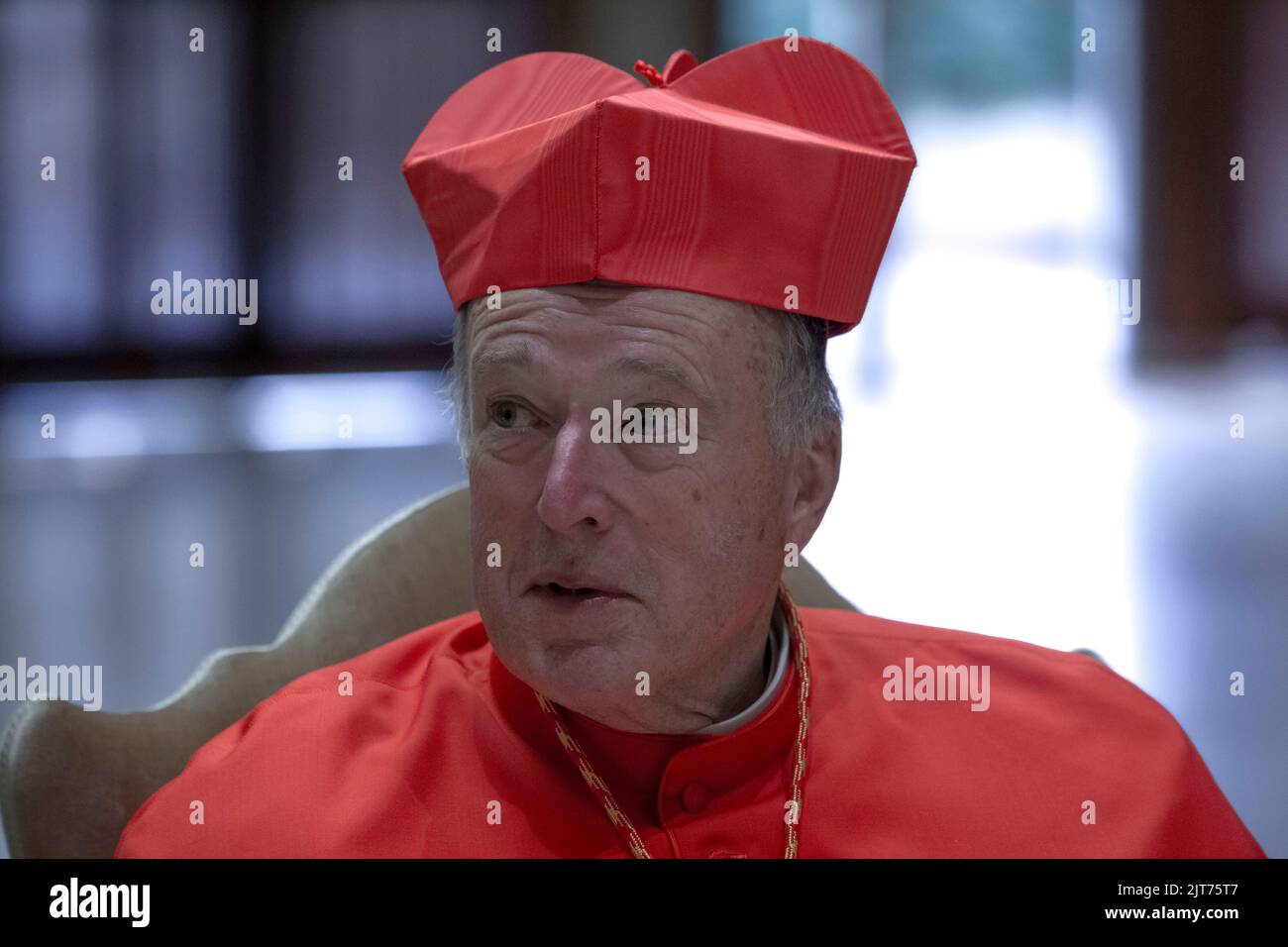 Kardinal cardin -Fotos und -Bildmaterial in hoher Auflösung – Alamy