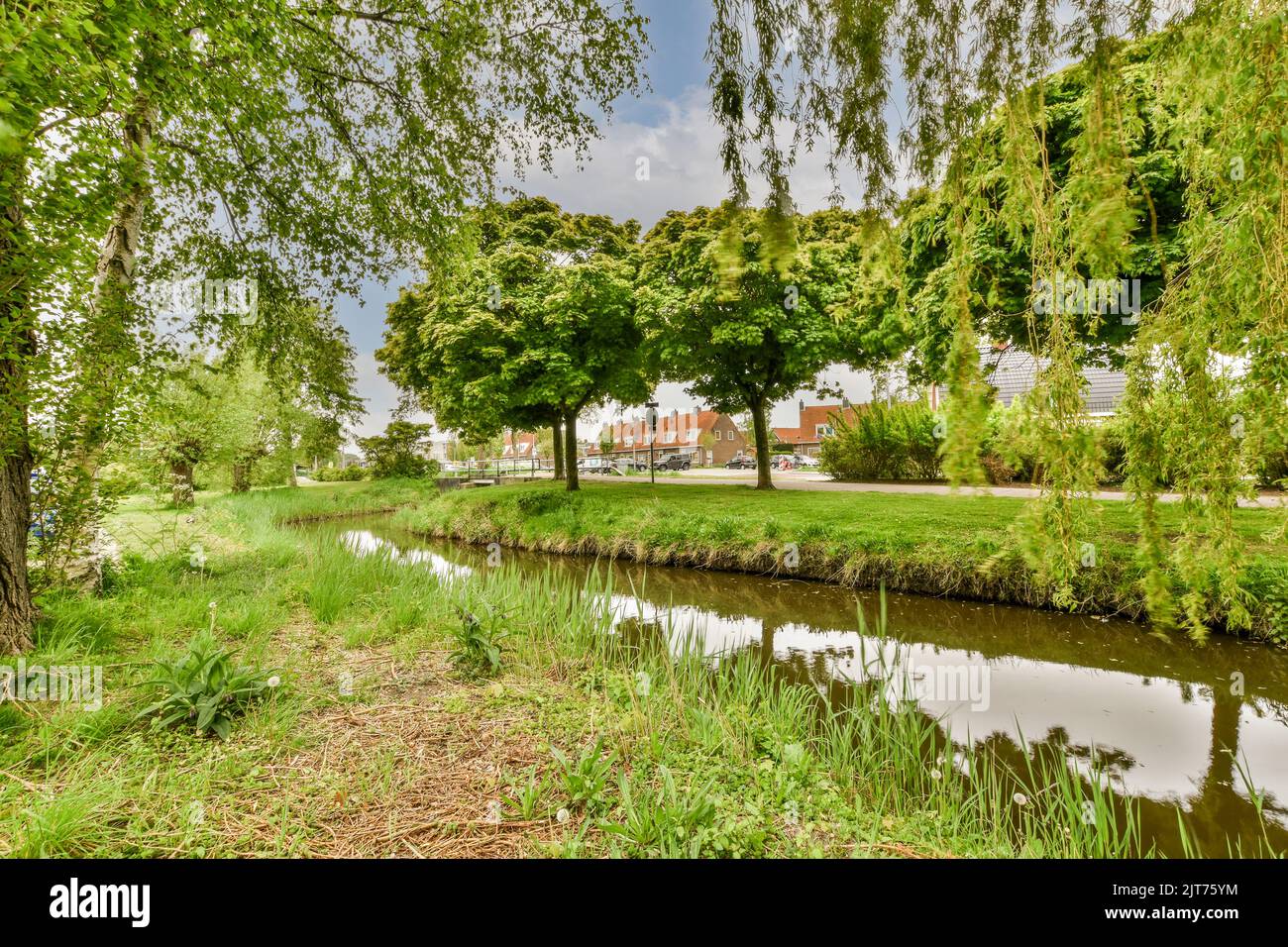 View of street near building with beauty of vegetation outside Stock ...