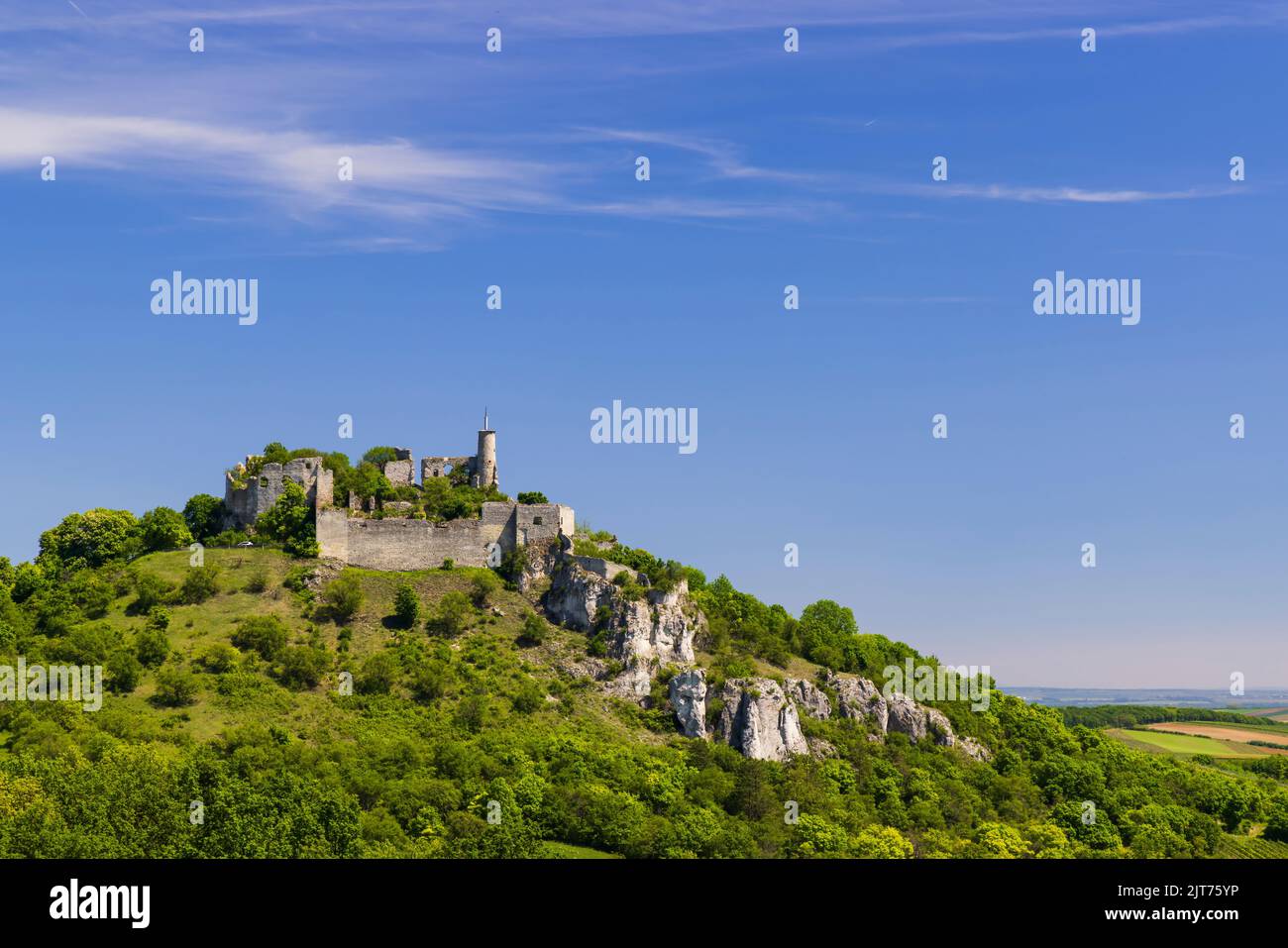 Falkenstein ruins and town with vineyard, Lower Austria, Austria Stock ...