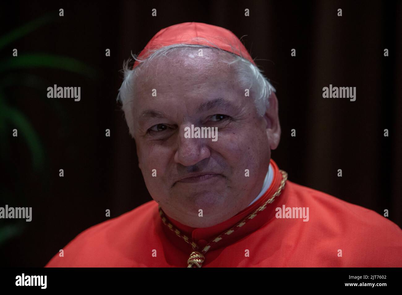 Cardinal jean marc aveline hi-res stock photography and images - Alamy