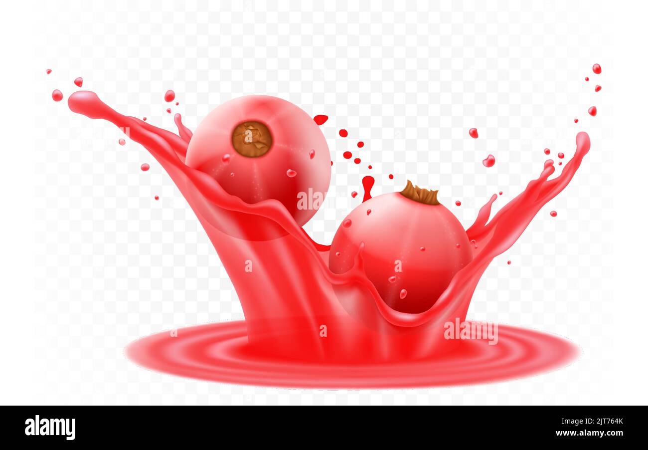 Red currant in a splash of juice or yogurt. Fresh berry falls into the ...