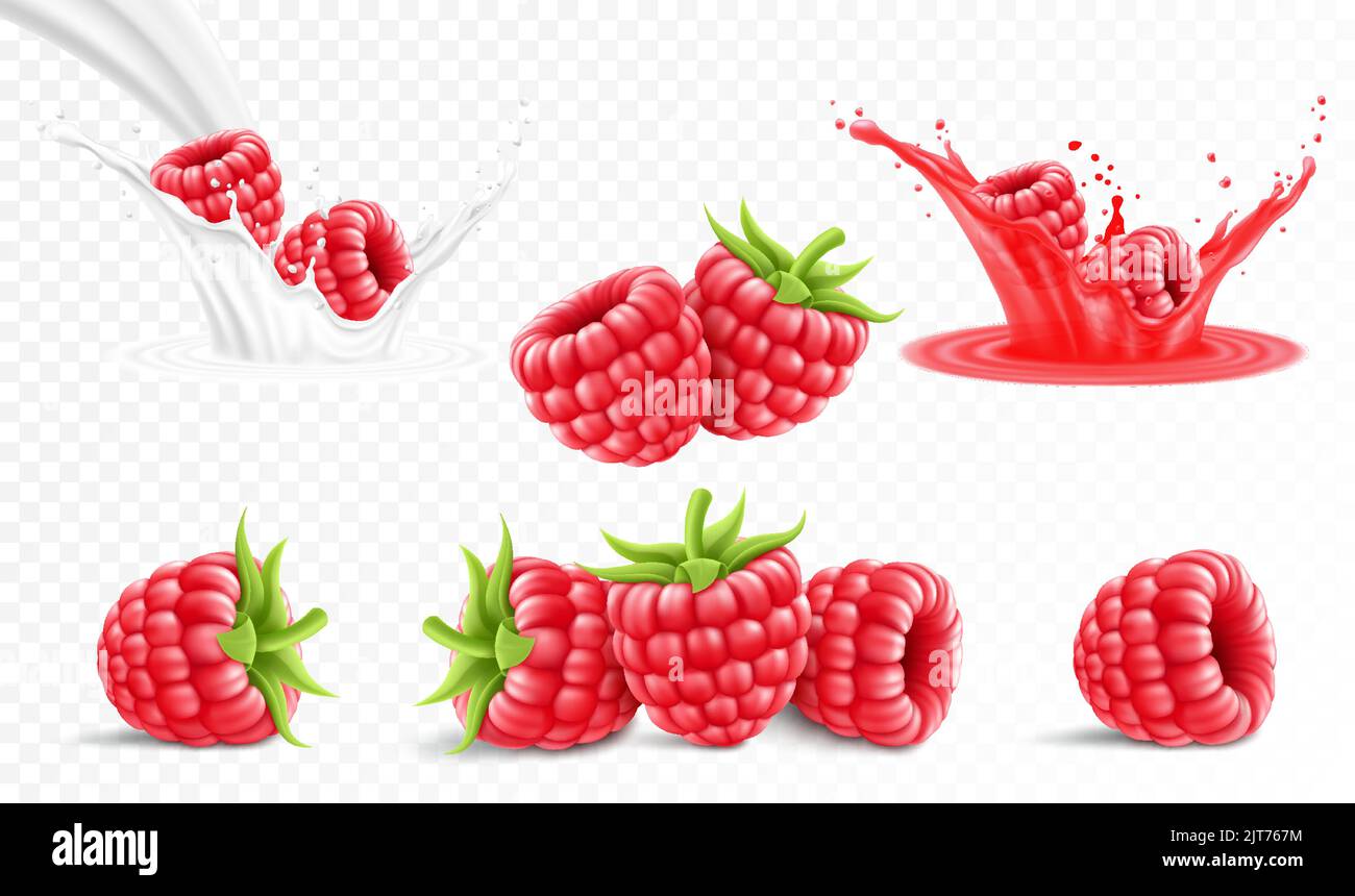 Collection of ripe raspberries isolated on transparent background ...