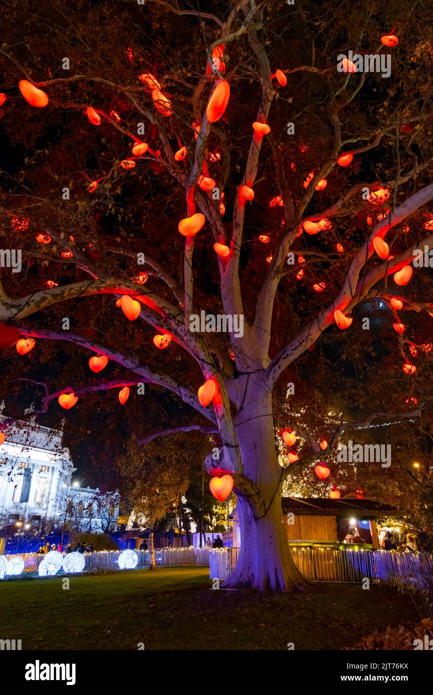 Christmas tree in Vienna, Austria Stock Photo - Alamy