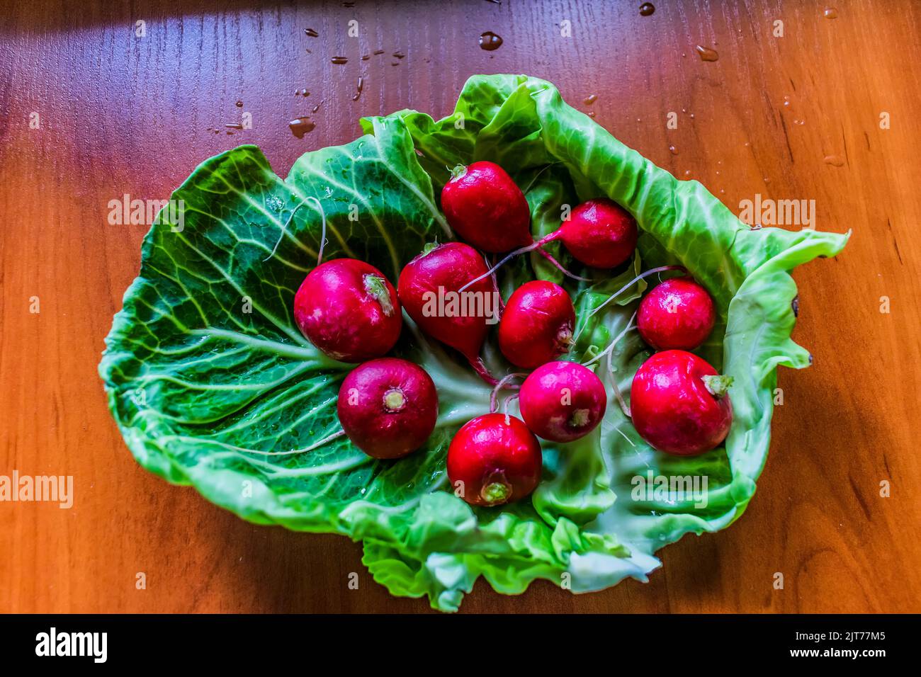 The radishes on the cabbage leaf Stock Photo - Alamy