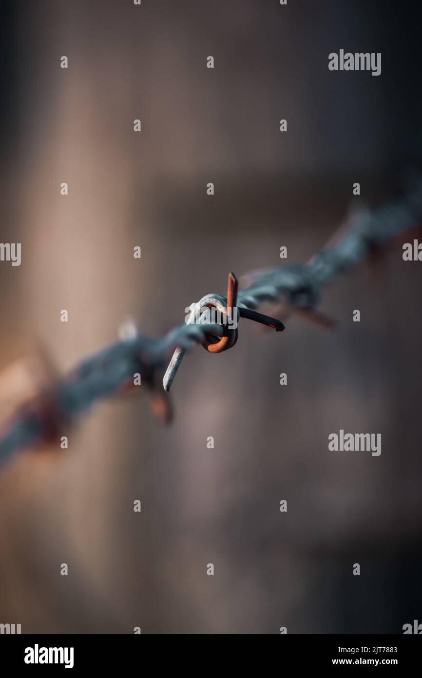 A vertical shot of a sharp and dangerous barbed wire fence in a blurred ...