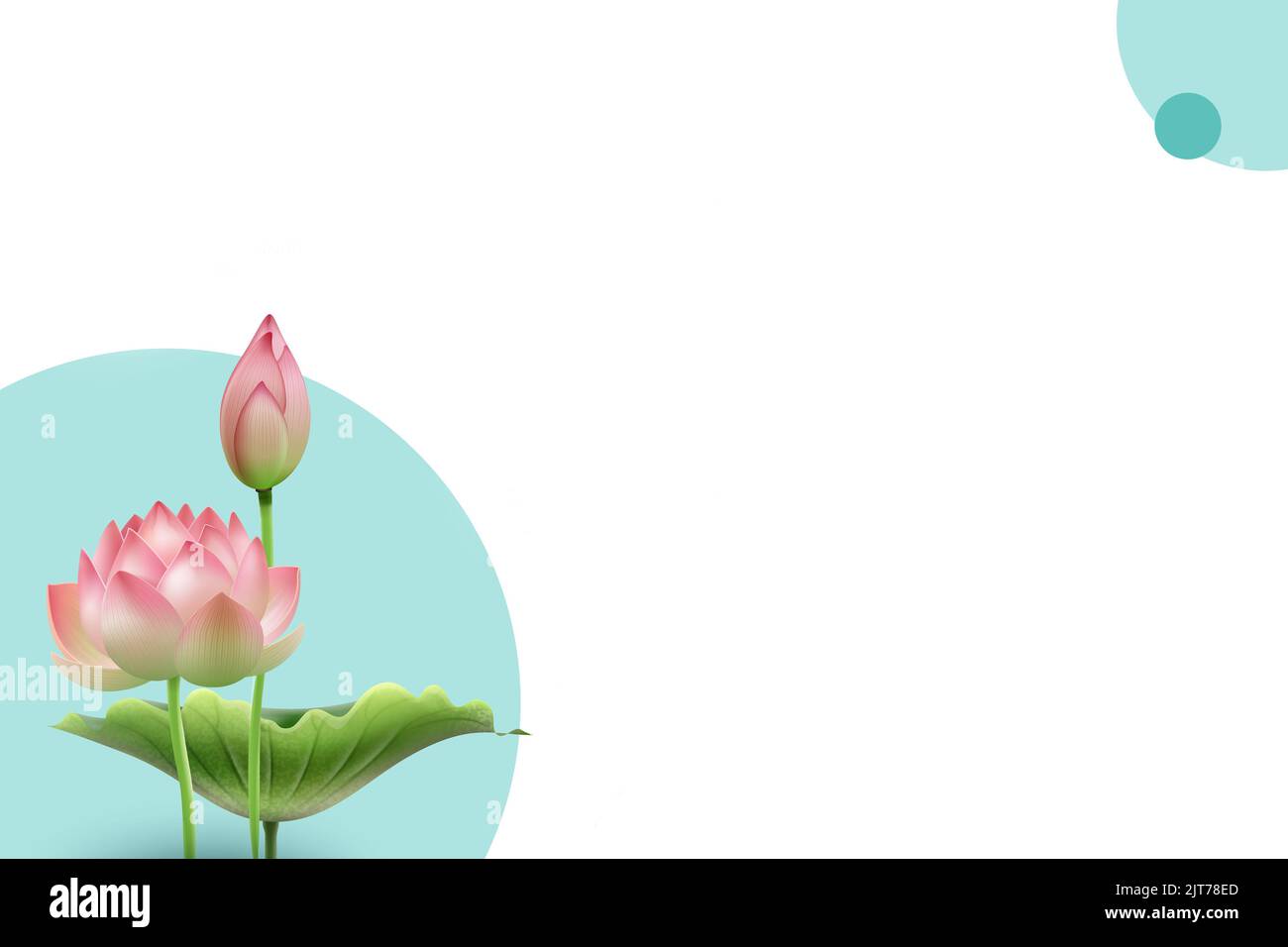 Lotus flower card Stock Photo - Alamy