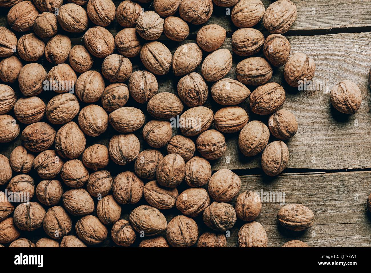 Walnut brain hi-res stock photography and images - Alamy