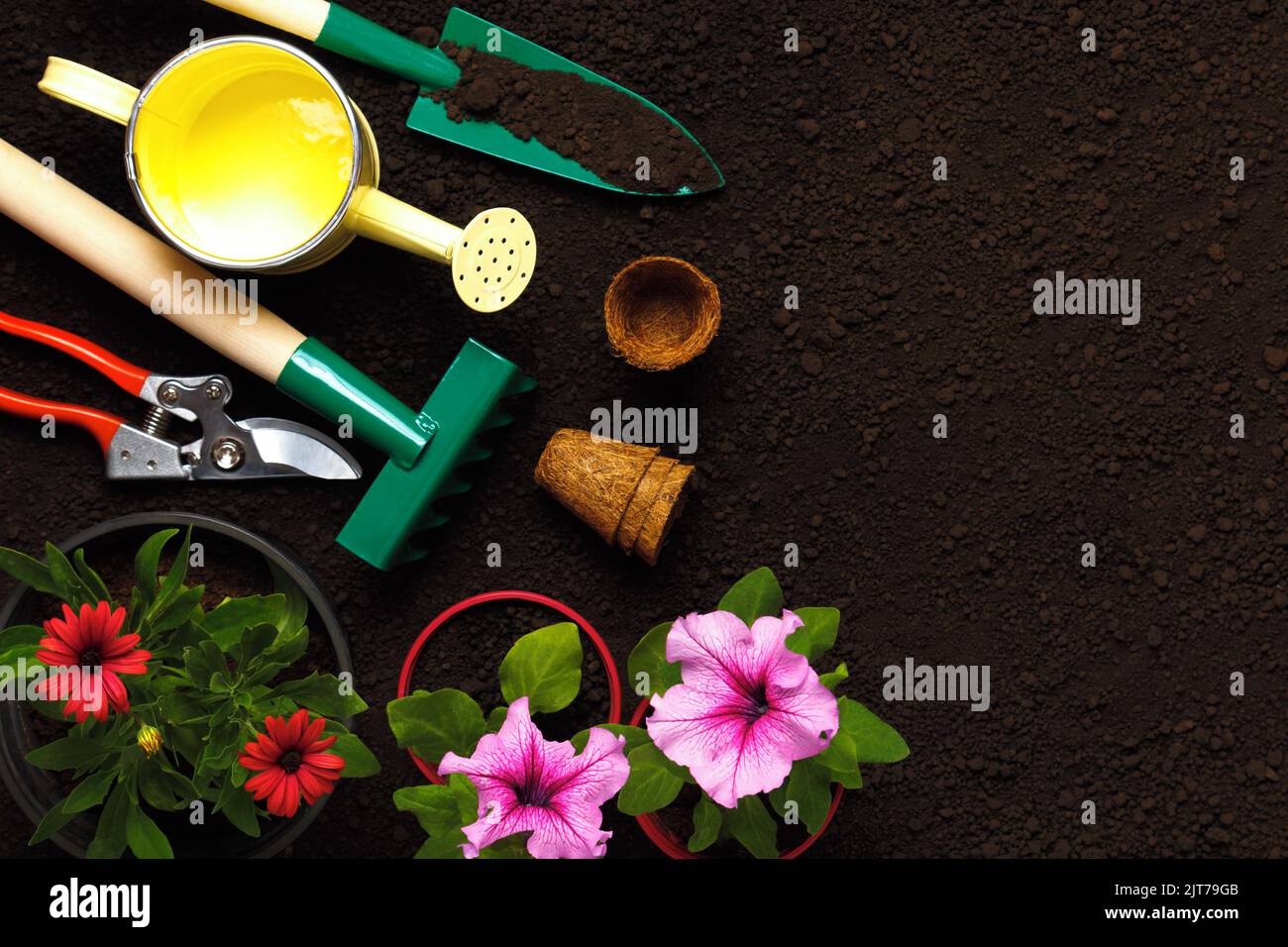 Garden tools for working flowers in pots on the soil. Top view copy ...