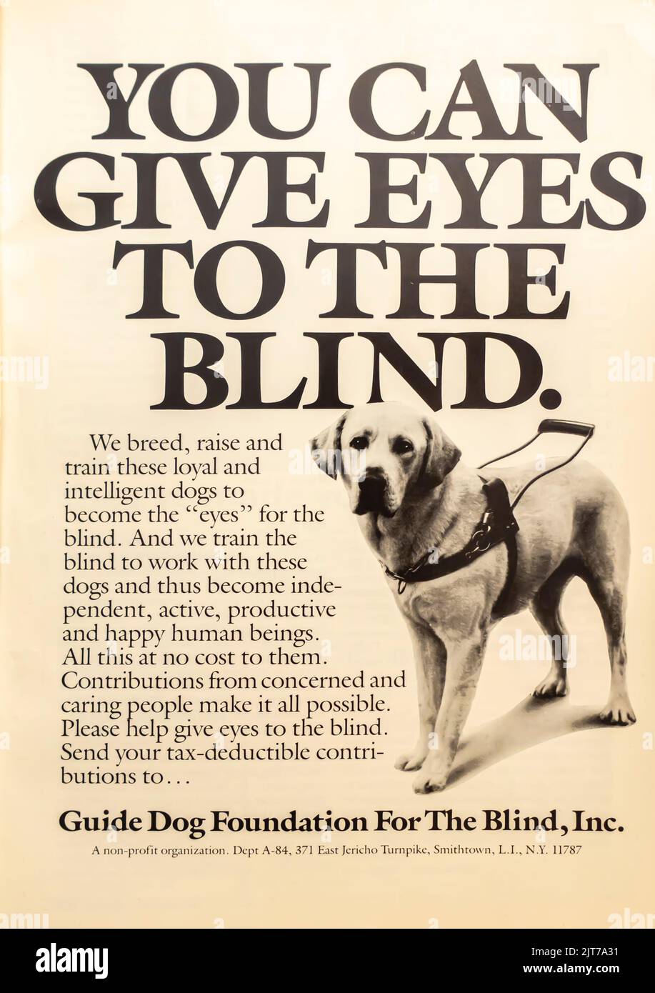 Guide dog foundation for the blind advertisement placed in a NatGeo ...