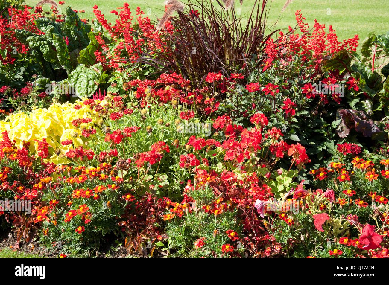 Flower border, Luxembourg Gardens, Paris, France Stock Photo - Alamy