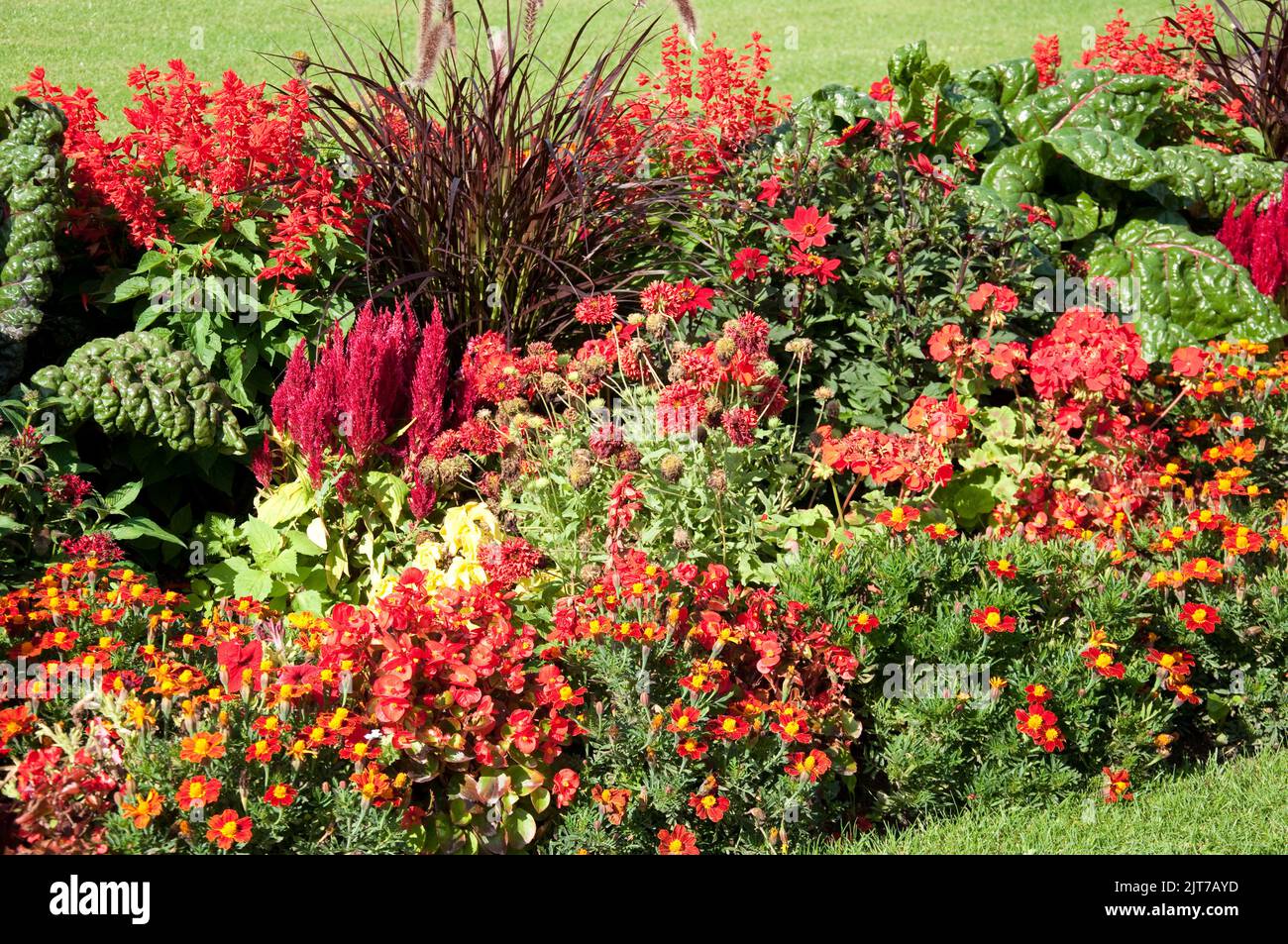 Colourful flower border hi-res stock photography and images - Alamy