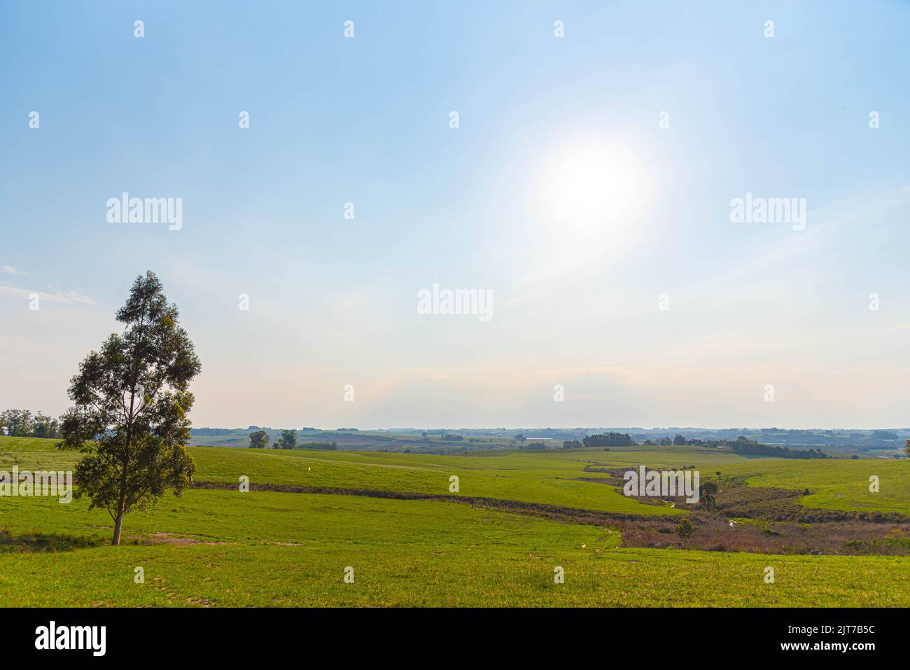Para campos hi-res stock photography and images - Alamy