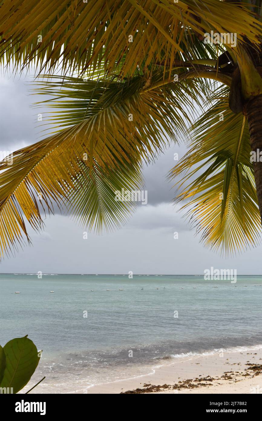 Pigeon Point Beach in the Pigeon Point Heritage Park in Tobago, West ...
