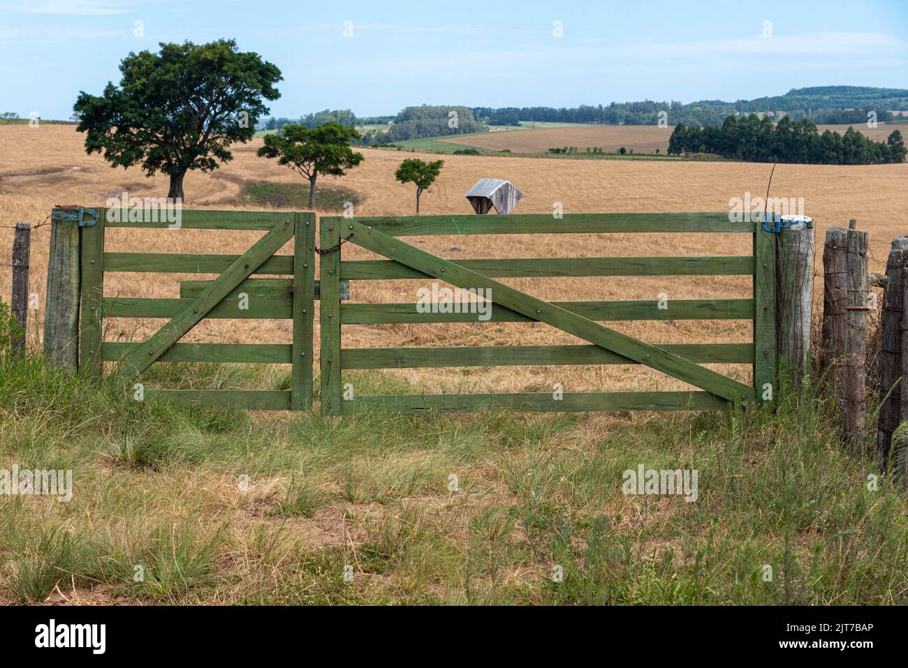 Farm gate and pasture and cattle breeding field. Rural landscape ...