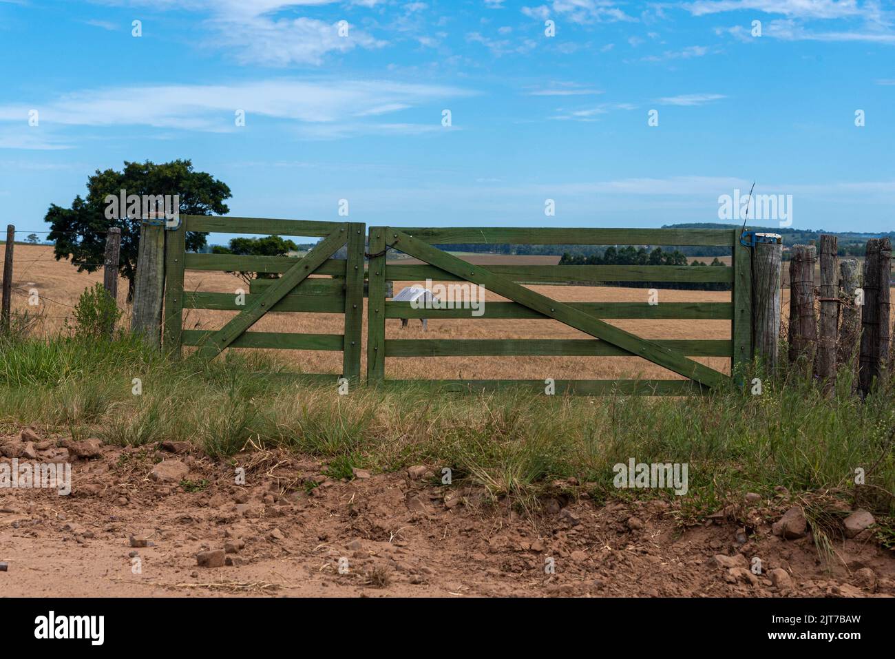 Farm gate and pasture and cattle breeding field. Rural landscape ...
