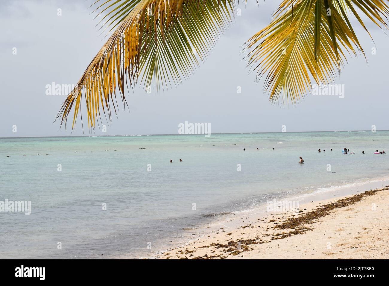 Pigeon Point Beach in the Pigeon Point Heritage Park in Tobago, West ...