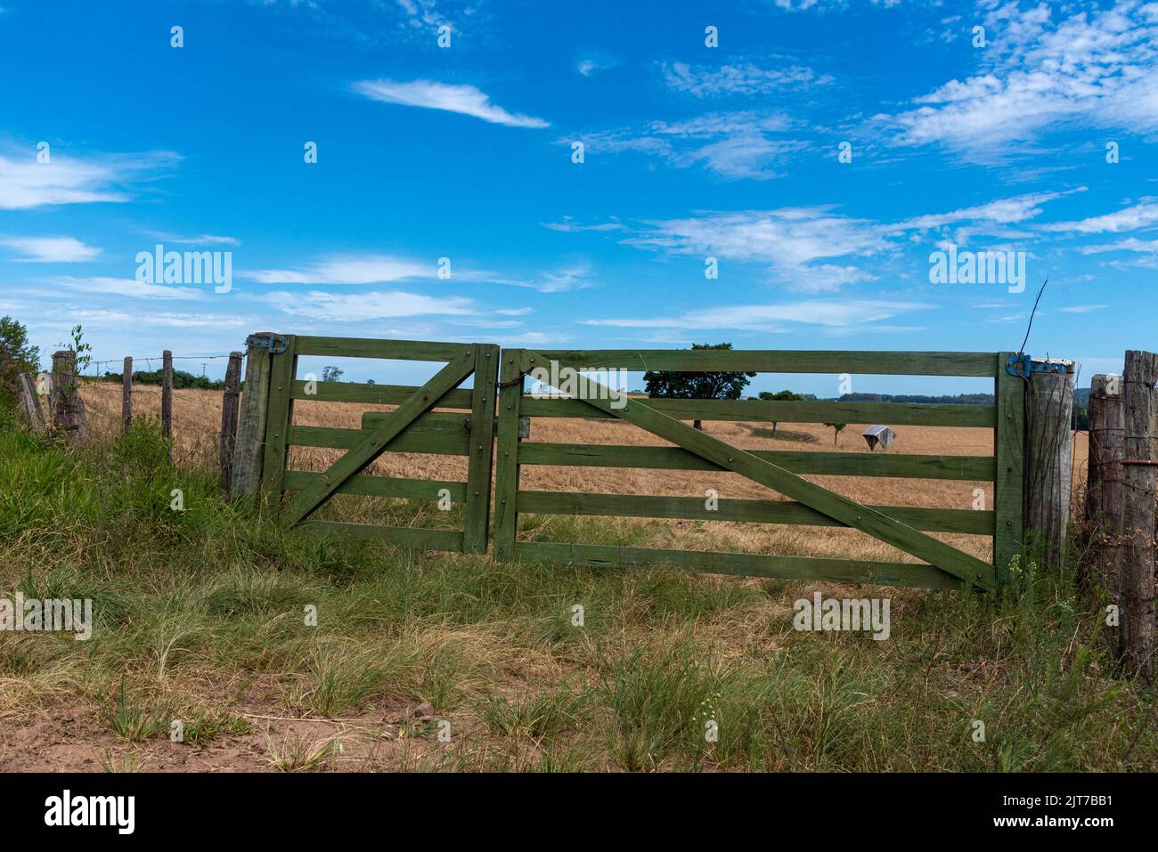 Farm gate and pasture and cattle breeding field. Rural landscape ...