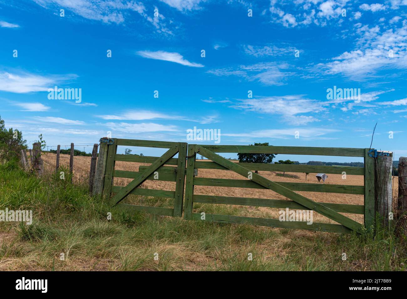 Farm gate and pasture and cattle breeding field. Rural landscape ...