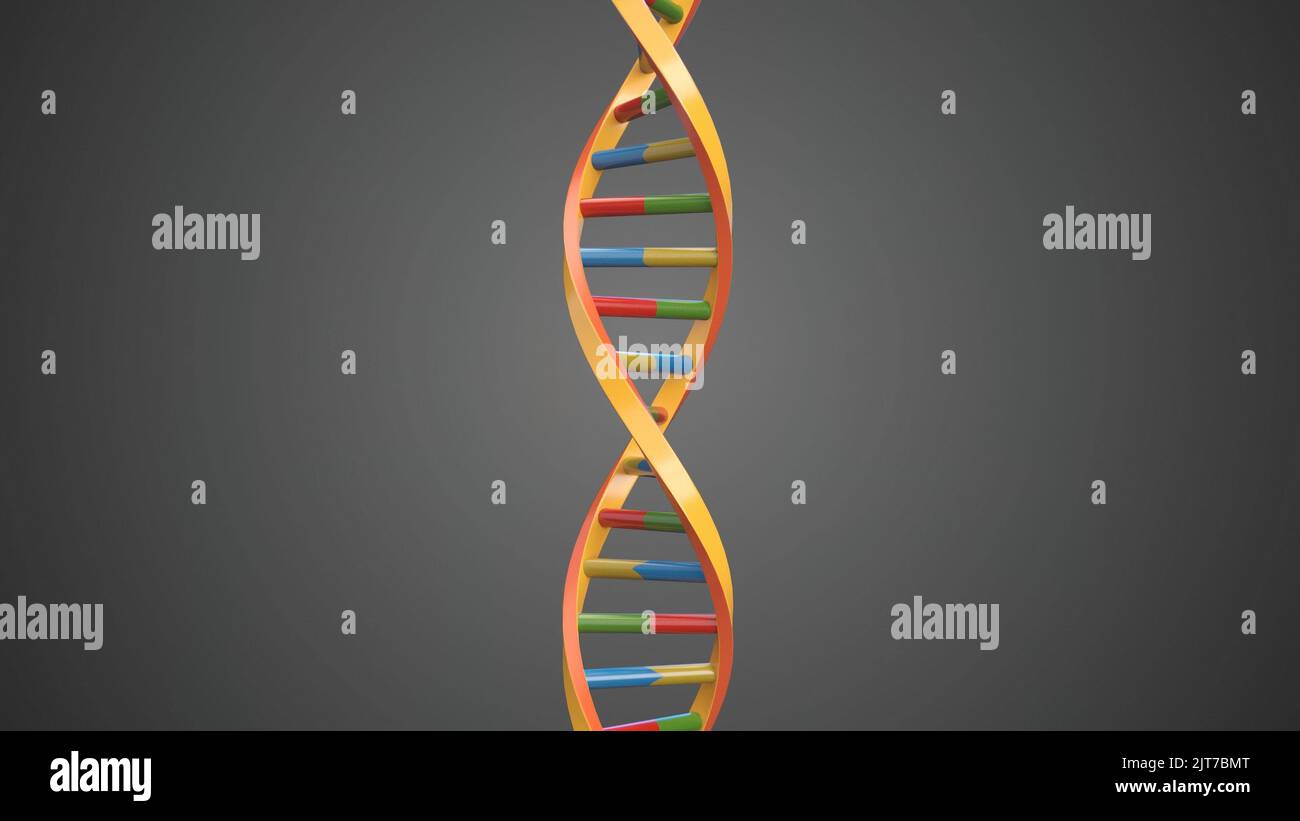 The 3D visualization of DNA - Deoxyribonucleic acid molecule that ...