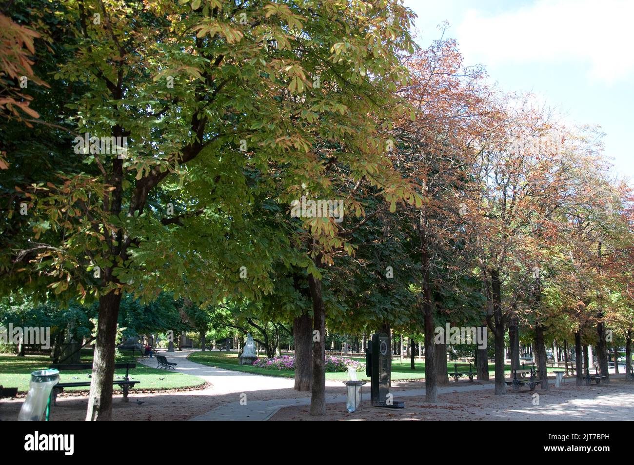 Tree-lined Pathway, Luxembourg Gardens, Paris, France Stock Photo - Alamy