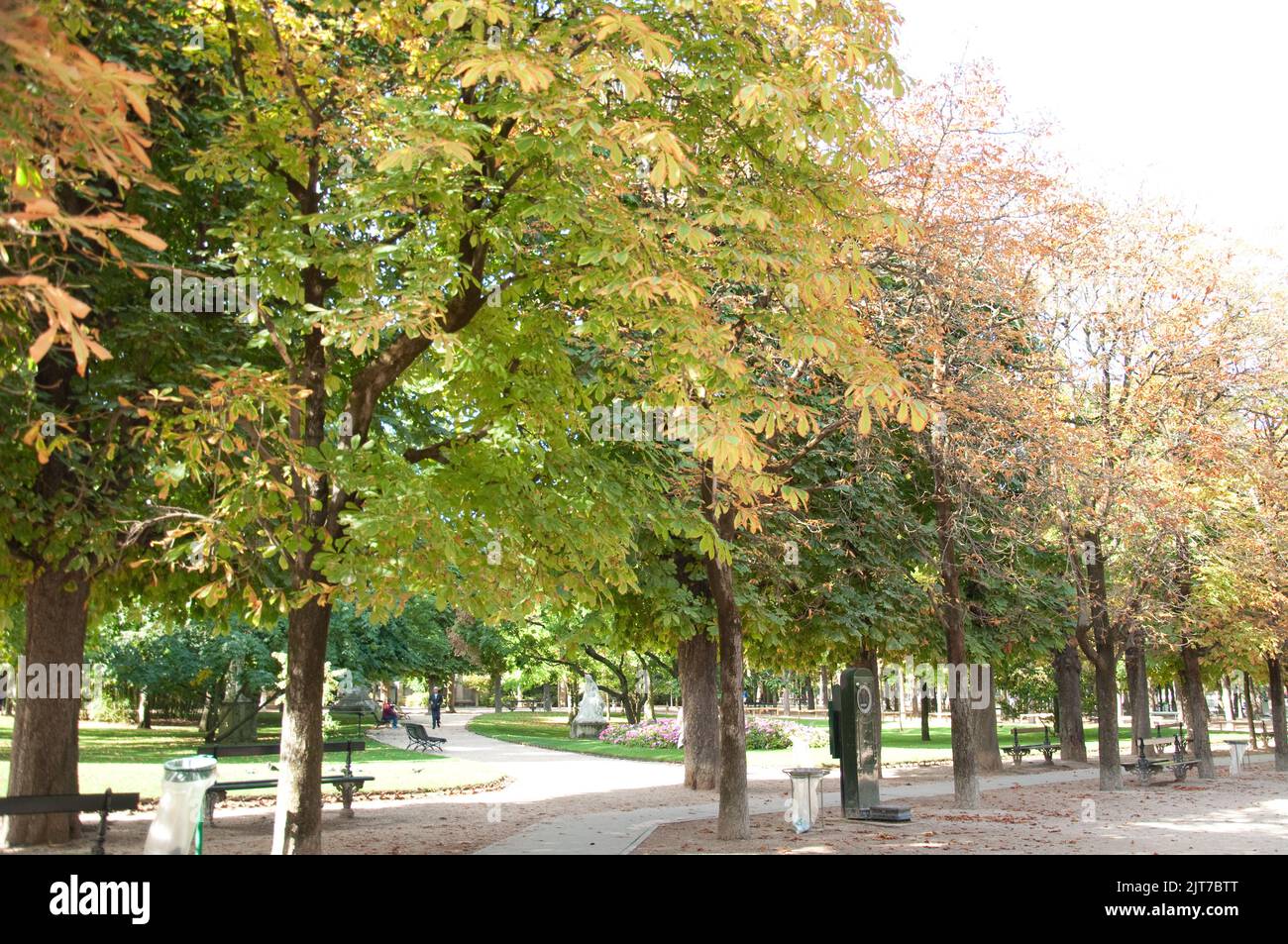 Tree-lined Pathway, Luxembourg Gardens, Paris, France Stock Photo - Alamy