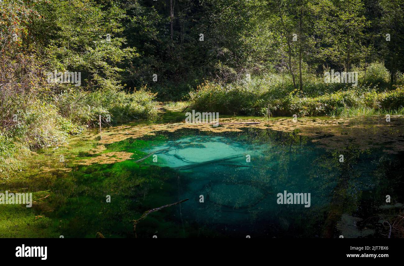 Saula cold pure fresh water blue spring, Estonia, Europe. Beautiful ...