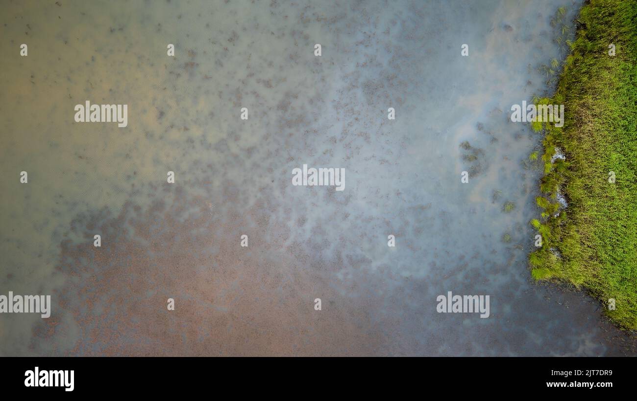 Bird's eye view of Costa Rican wetlands Stock Photo - Alamy