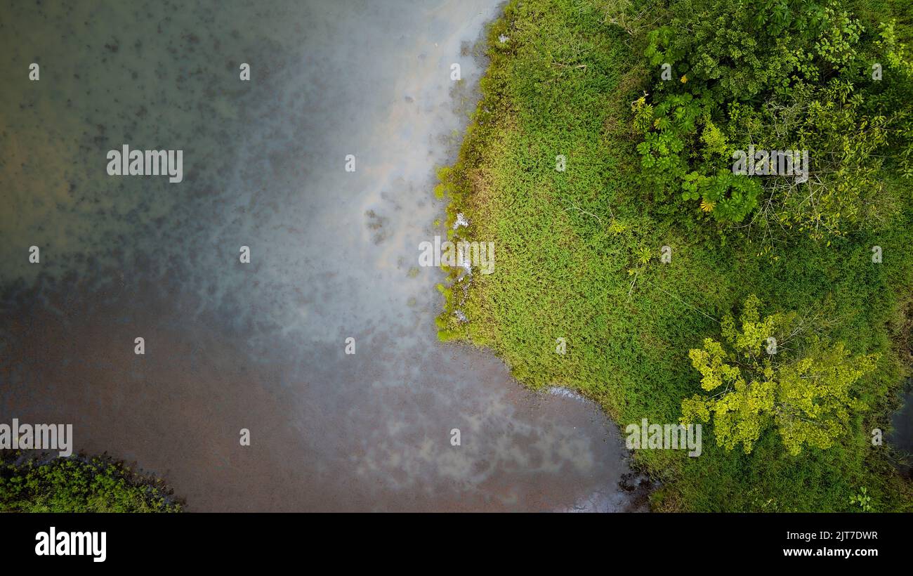 Bird's eye view of Costa Rican wetlands Stock Photo - Alamy