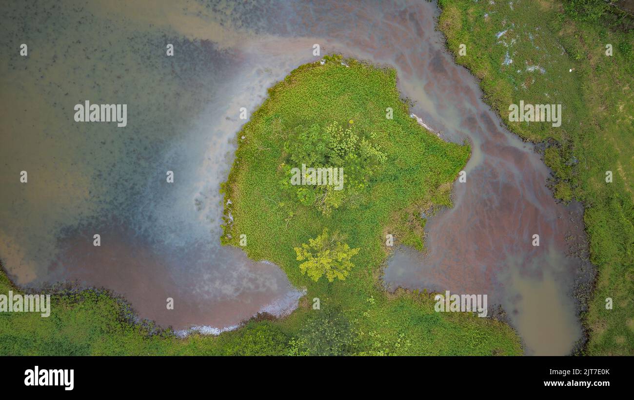 Bird's eye view of Costa Rican wetlands Stock Photo - Alamy