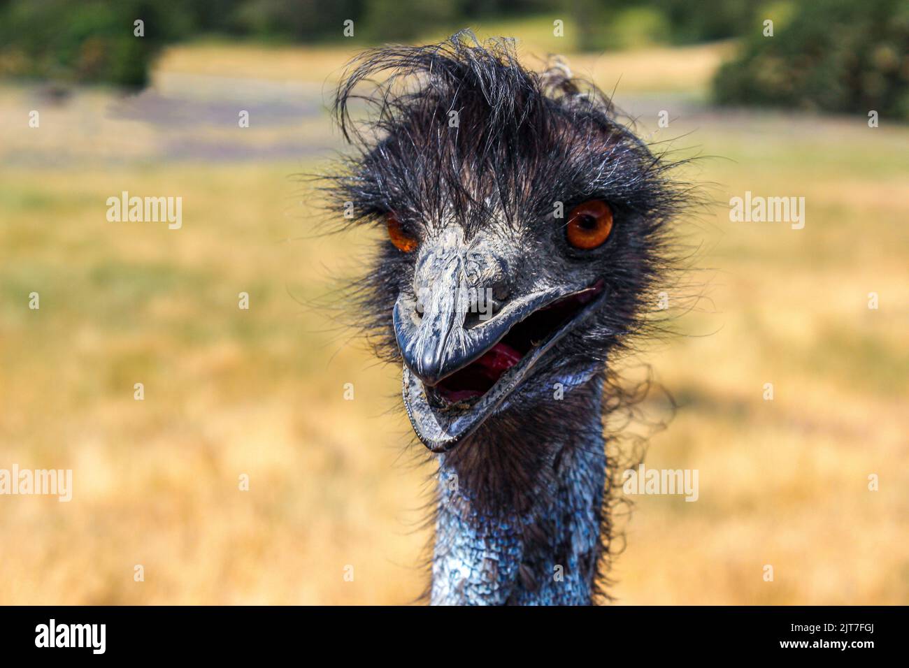 Winston oregon hi-res stock photography and images - Alamy