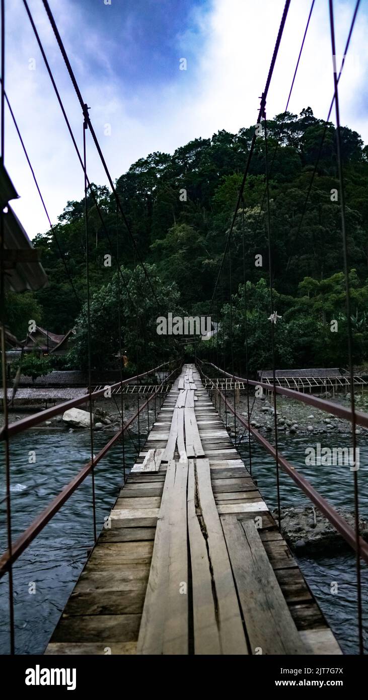 iconic wooden foot bridge with ropes and jungle trees in the background ...