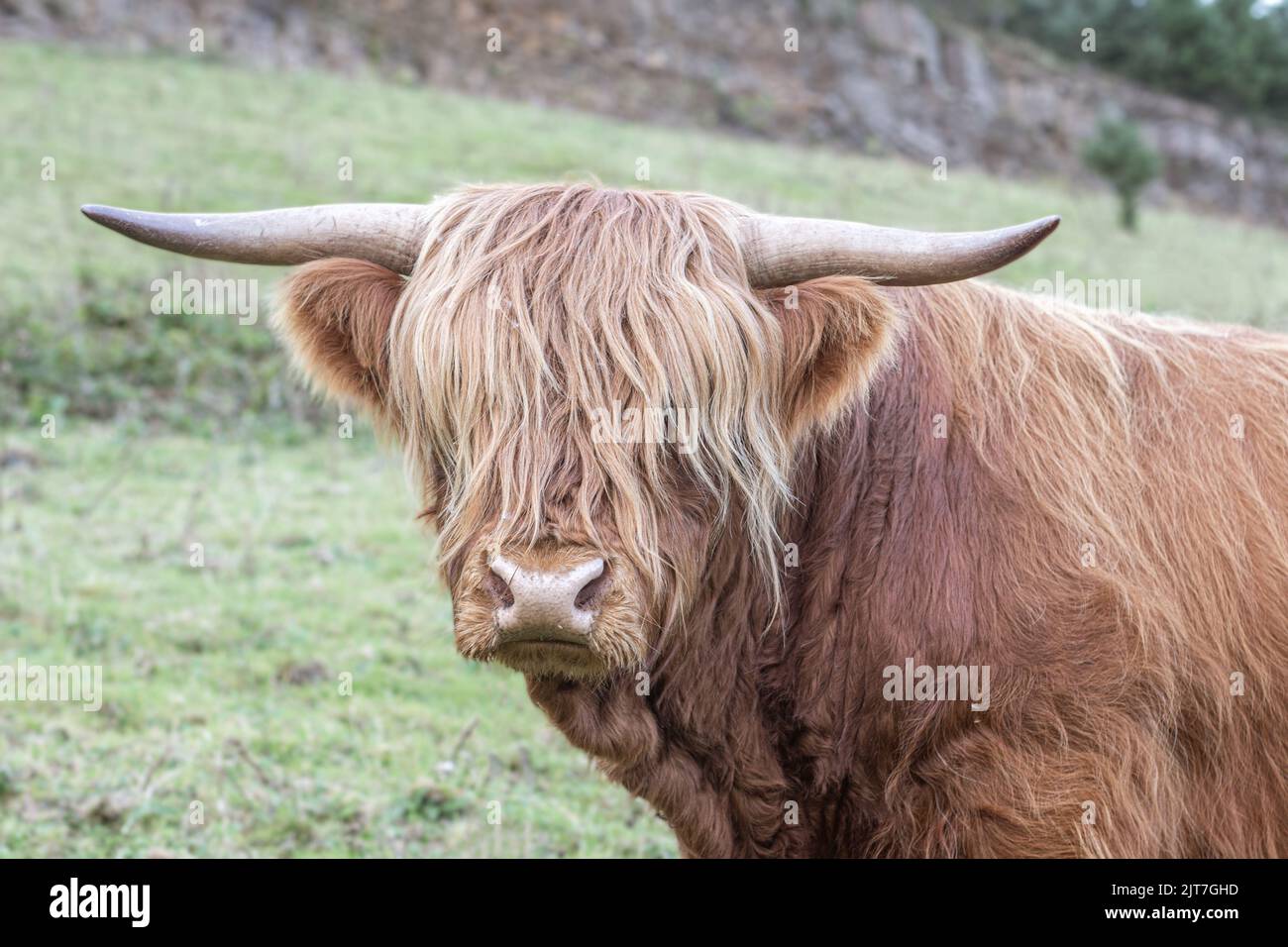Beauty and the beast poster hi-res stock photography and images - Alamy