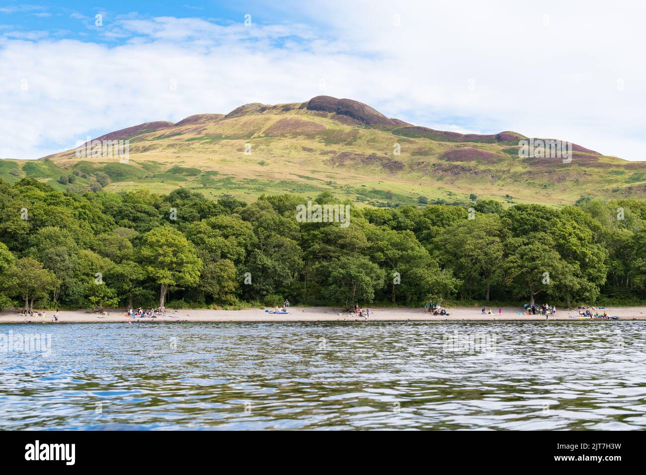 Millarochy Bay beach, on the eastern shore of Loch Lomond, with Conic ...