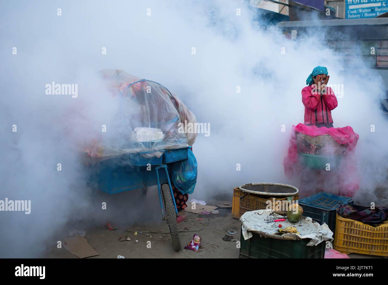 Lalitpur, Nepal. 28th Aug, 2022. A woman covers her face to protect ...