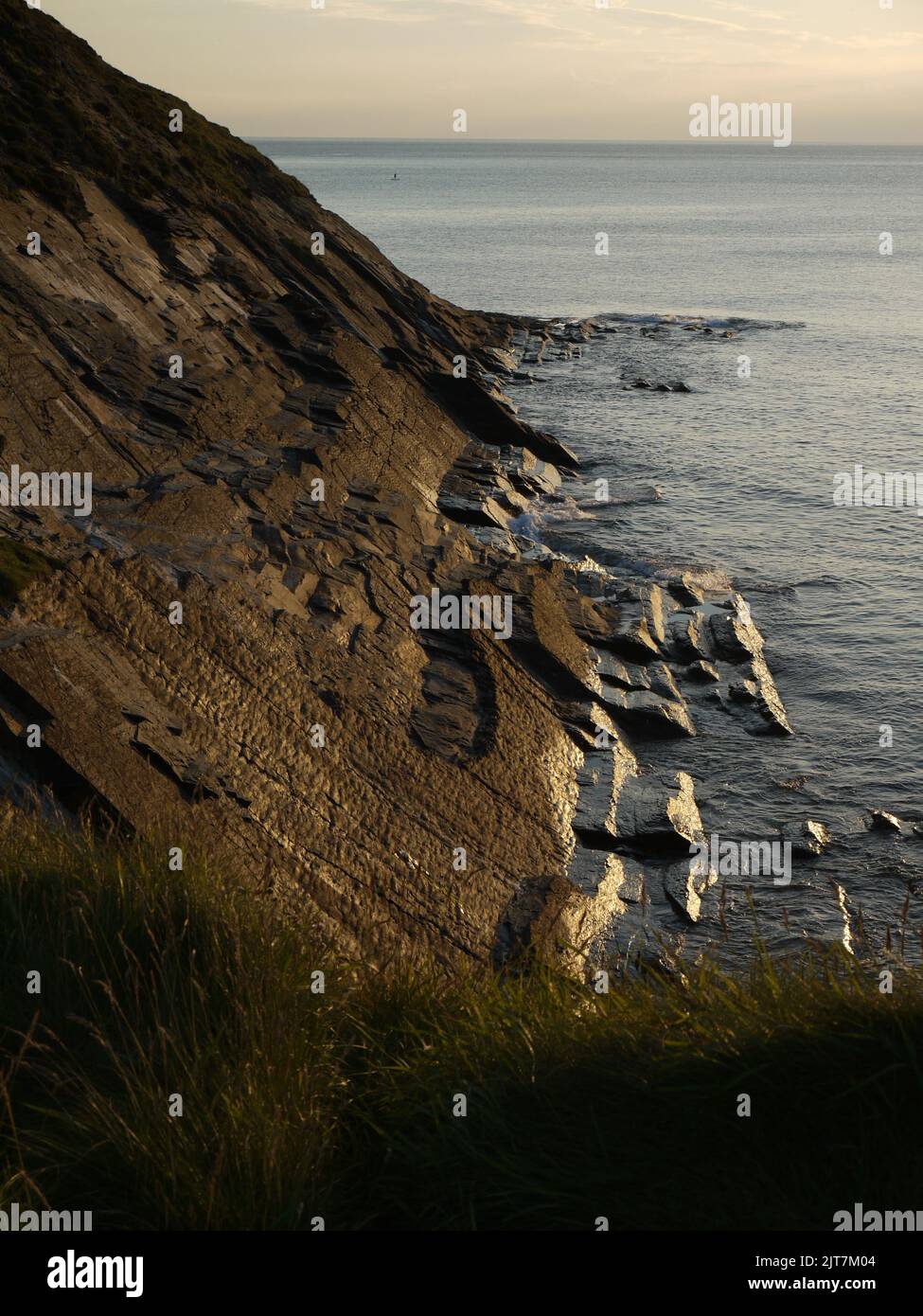Vertical shot of Crackington Haven cliffs with sunlit grass and distant ...
