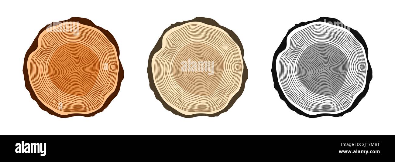 Round tree trunk cuts in various colors, sawn pine or oak slices ...
