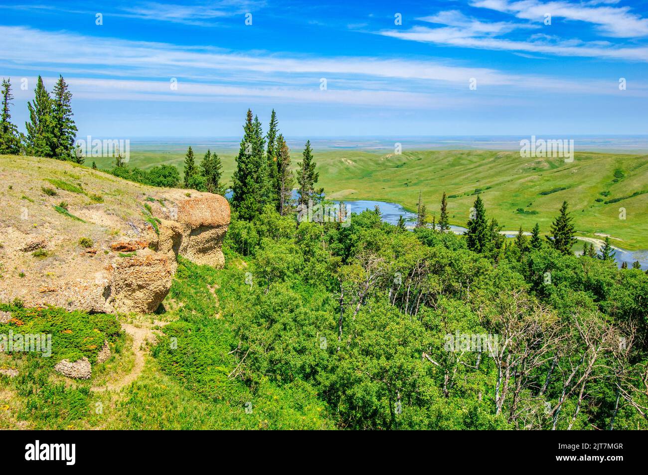 The conglomerate cap rock of the Cypress Hills (foreground) resisted ...