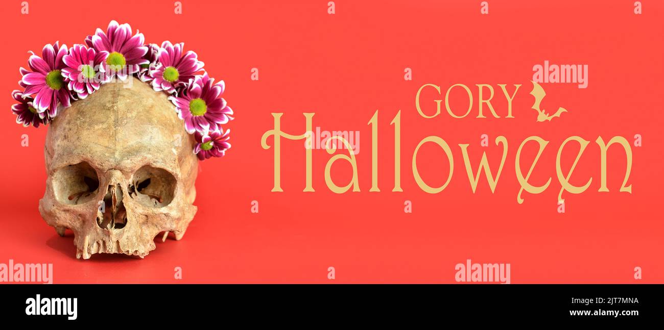 Human skull with flowers on red background. Gory Halloween Stock Photo ...