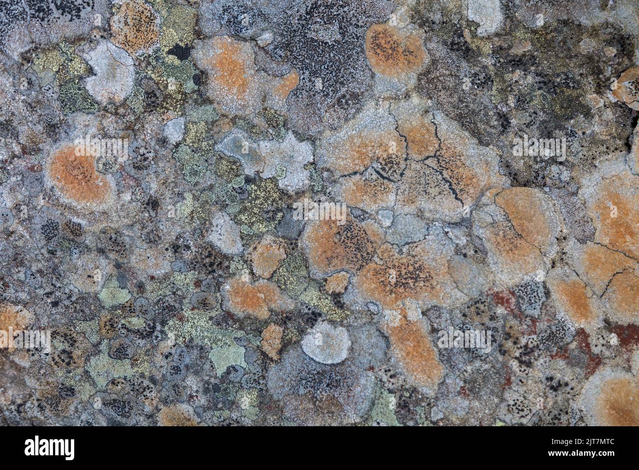 Stone wall grunge style textured close up background stained brown and ...