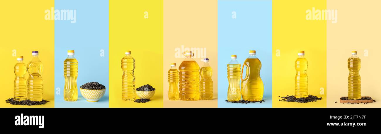 Many bottles of sunflower oil on colorful background Stock Photo - Alamy