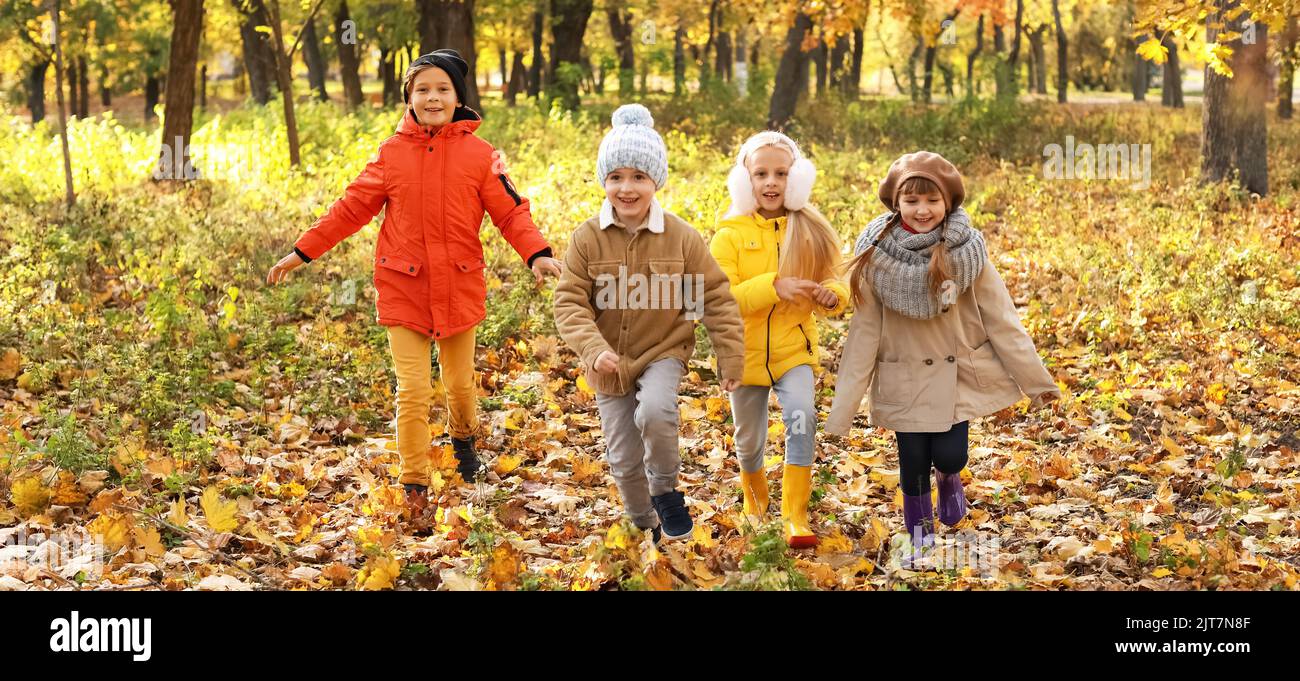 Cute little children playing in autumn park Stock Photo - Alamy