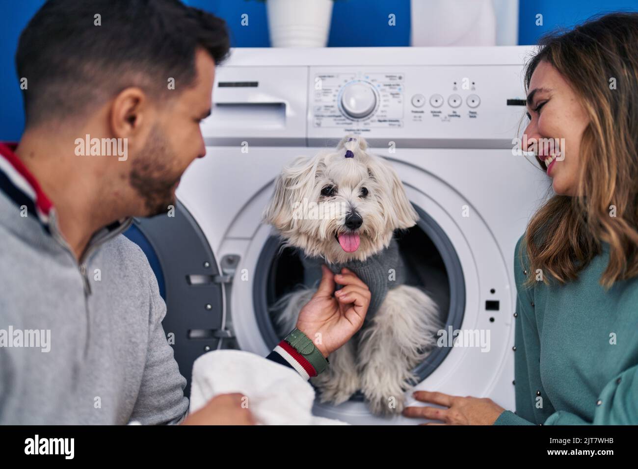 Man and woman washing clothes with dog in washing machine at laundry ...