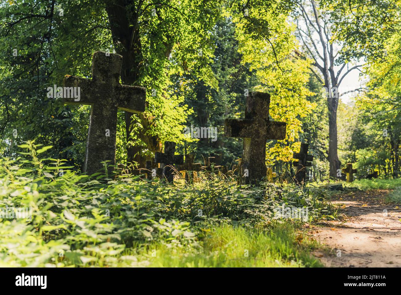 Moss covered cross gravestones by dirt path. Abandoned greveyard 1800s ...